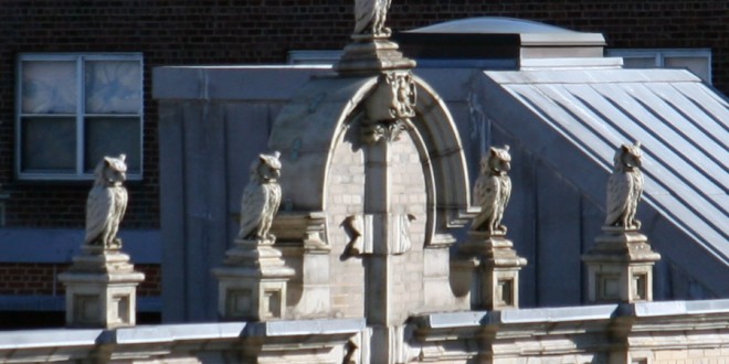 The Owls of PS 110 | Scouting NY